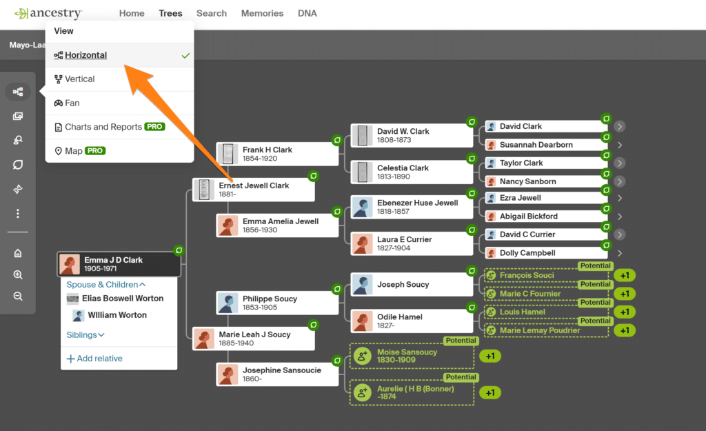 Yes, You CAN Download Your Tree From Ancestry.com - Here's How
