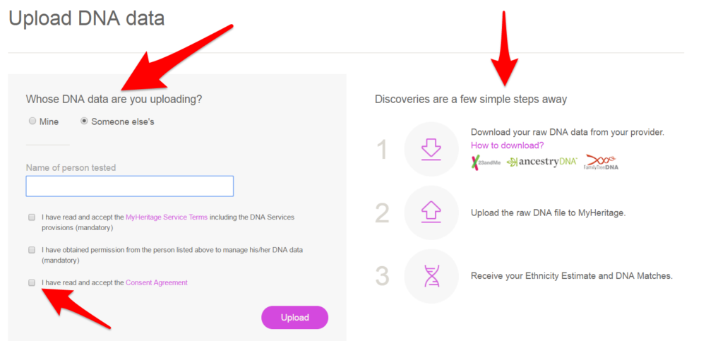 How to Use a MyHeritage DNA Test for Genealogy: A Full Review