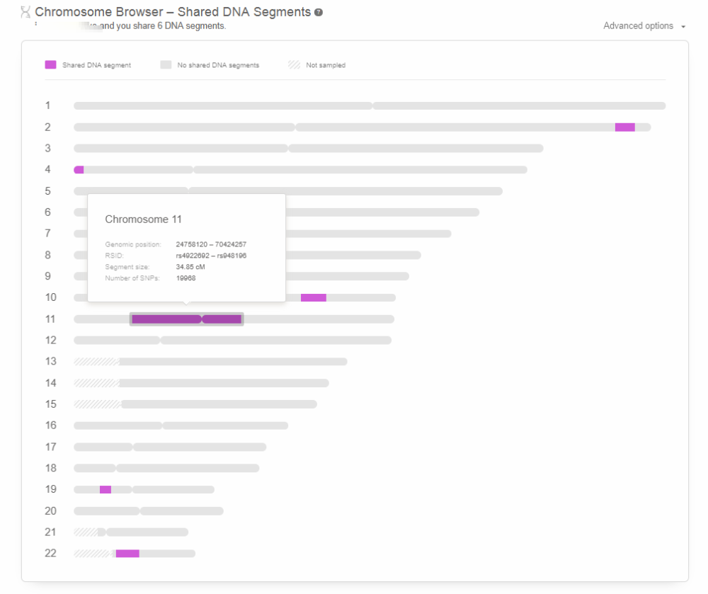 How to Use a MyHeritage DNA Test for Genealogy: A Full Review