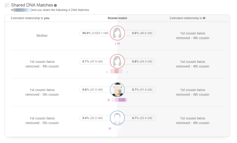 How to Use a MyHeritage DNA Test for Genealogy: A Full Review