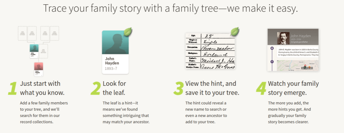 The 6 Best Family Tree Software Programs for Genealogy