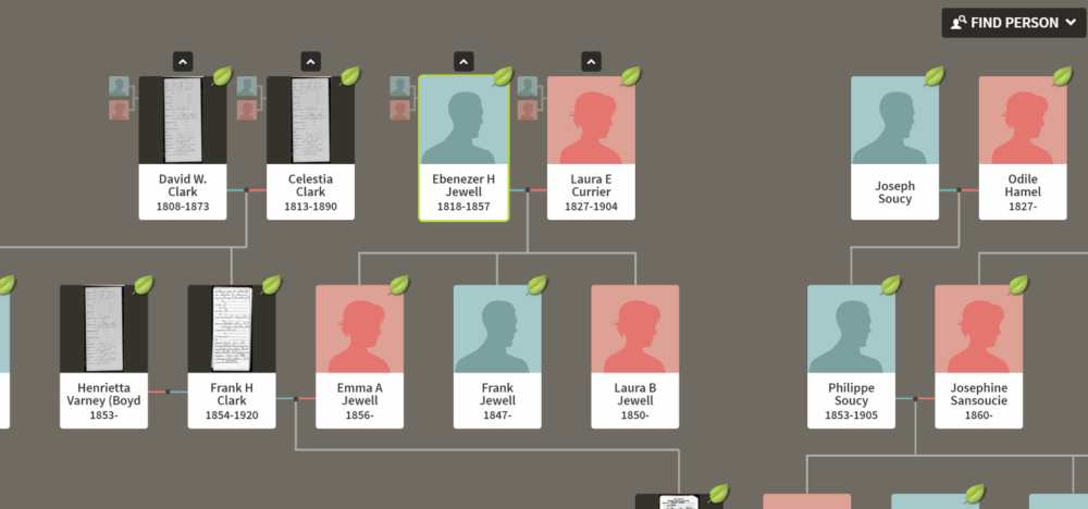 The 6 Best Family Tree Software Programs for Genealogy