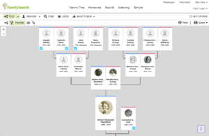 The 6 Best Family Tree Software Programs for Genealogy