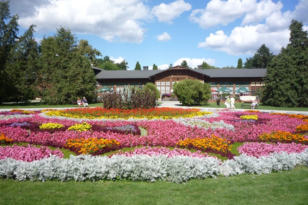 Family Heritage Tours: 14 Companies Offering Genealogy Travel Opportunities
