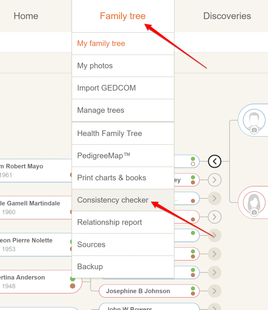 Consistency Checker: How to Run an Error Report on Your Family Tree