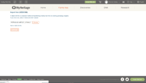 MyHeritage: The Powerful Genealogy Tool You've Probably Never Used