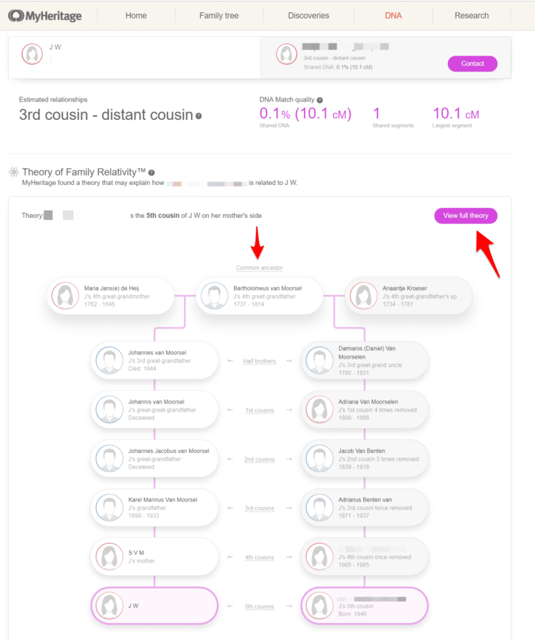 Theory of Family Relativity: New MyHeritage Tool Shows How You and Your ...