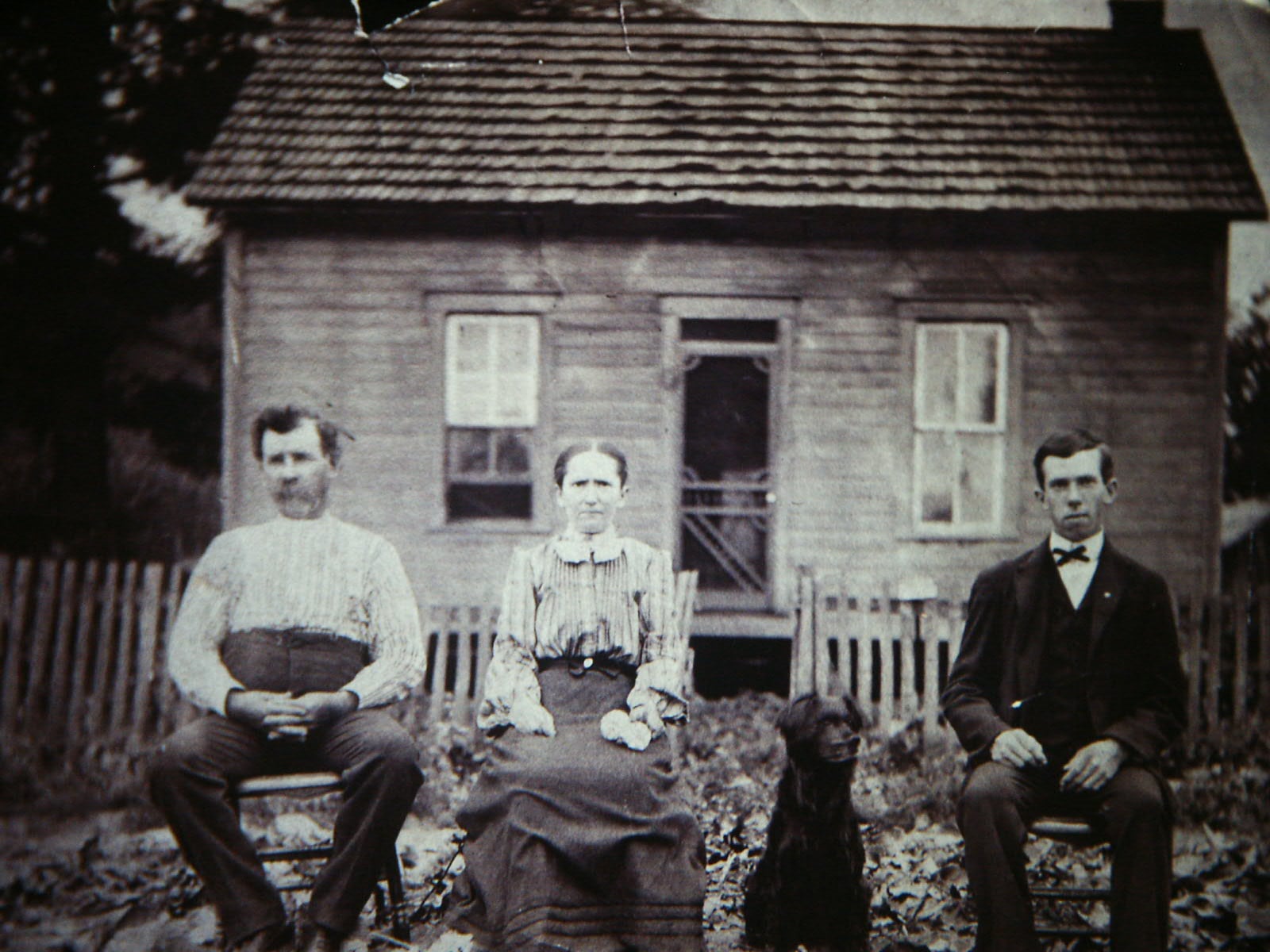 Ancestry's MyTreeTags is Likely to Become One of Your Most Used Tools