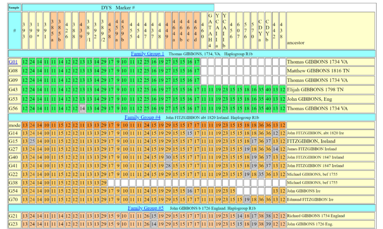 What's a Surname? Can it Reveal Your Family’s Past?