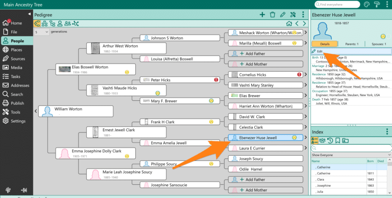 The 10-Minute Solution to Download Your Ancestry Tree and Records