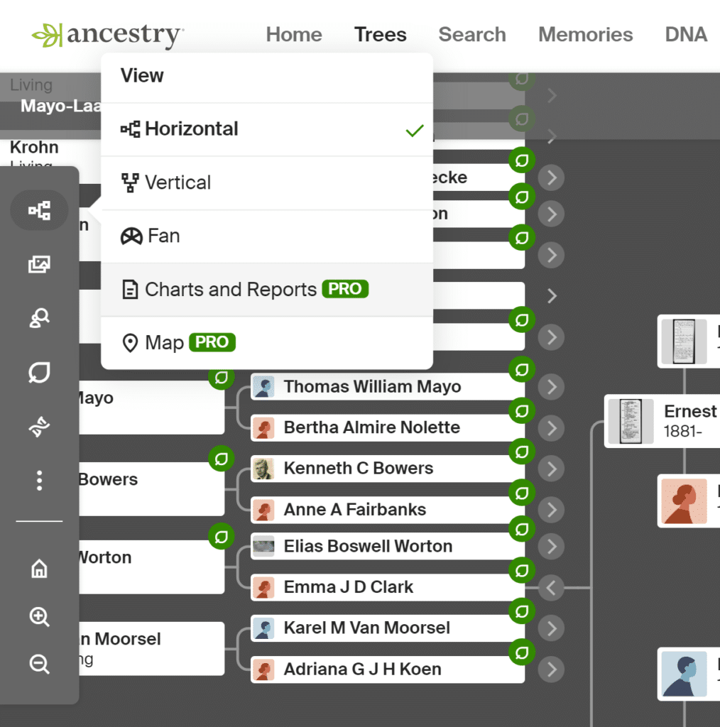 Are Ancestry Pro Tools Worth the Price?