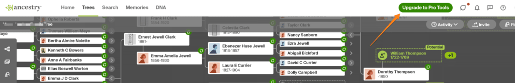 Are Ancestry Pro Tools Worth the Price?