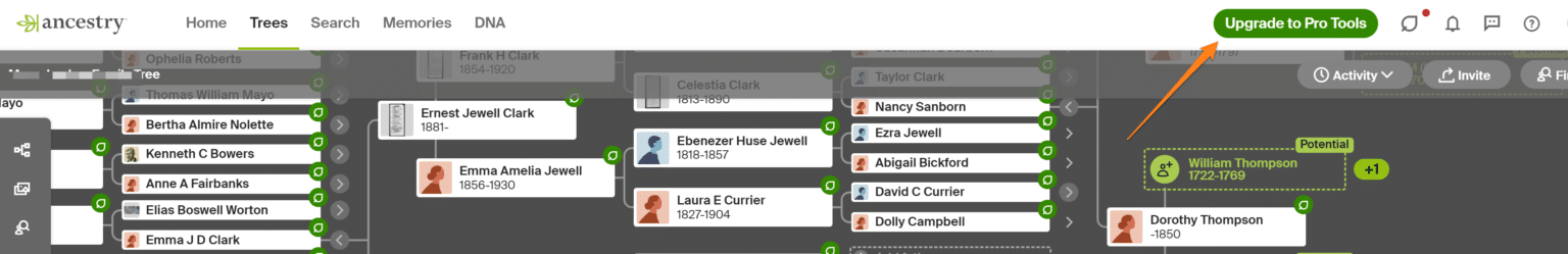 Are Ancestry Pro Tools Worth the Price?