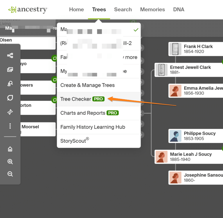 Are Ancestry Pro Tools Worth the Price?