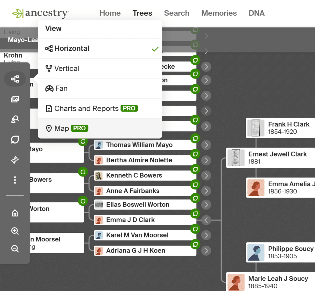 Are Ancestry Pro Tools Worth the Price?